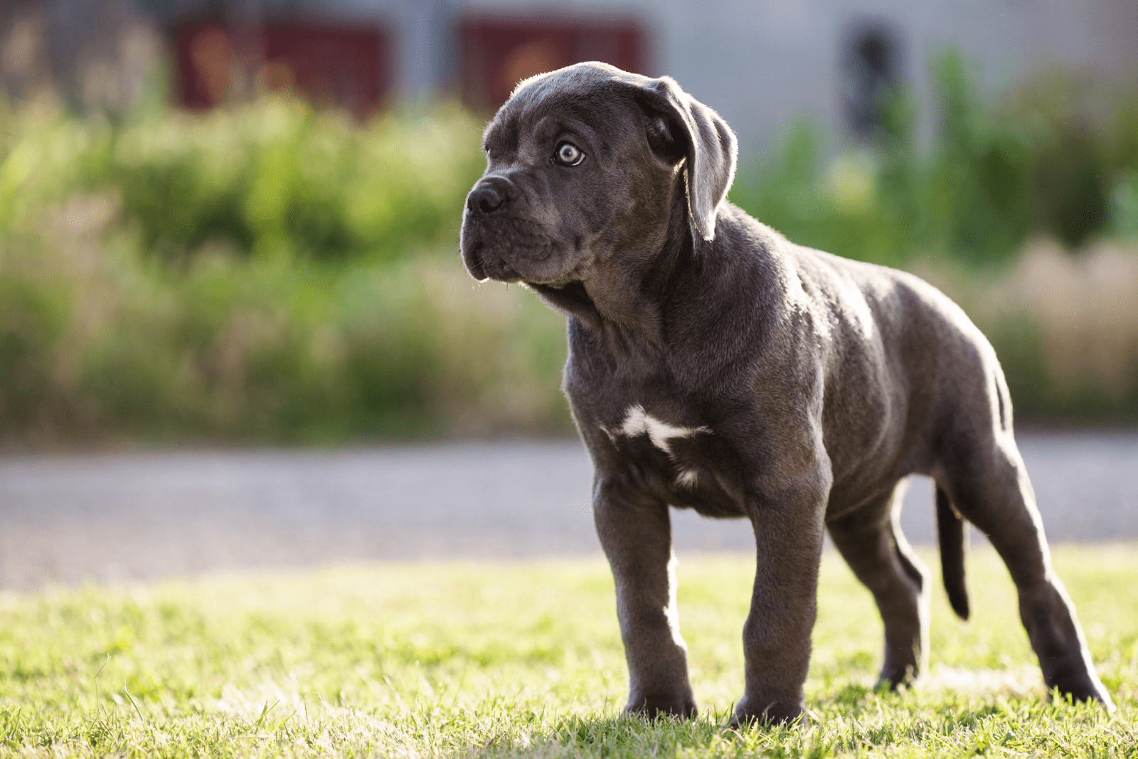 Zabiegi pielęgnacyjne