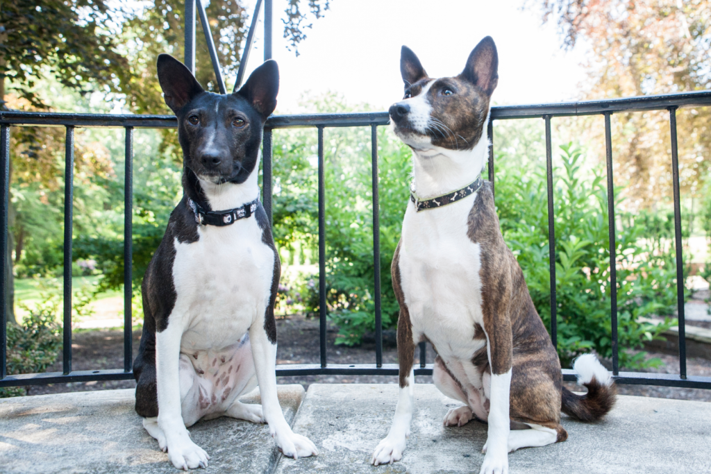 Komentarz Anuluj odpowiedź